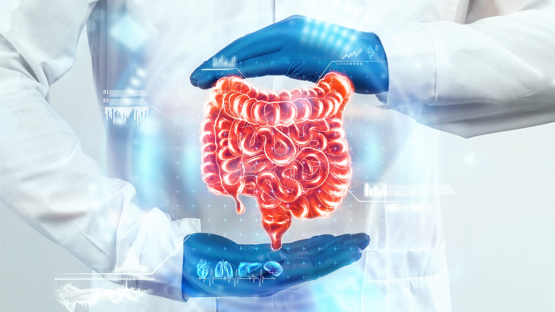 المقالات - د.هيثم فكري